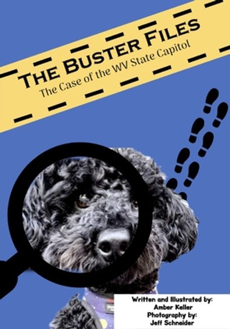 The Buster Files | Schneider, Jeff - 교보문고