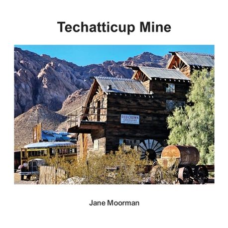 Techatticup Mine | Moorman, Jane - 교보문고