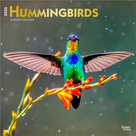 Hummingbirds 2026 12 X 24 Inch (Hanging) Monthly Square Wall Calendar ...