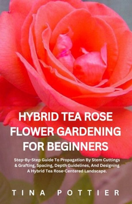 Hybrid Tea Rose Flower Gardening For Beginners | Pottier, Tina - 교보문고