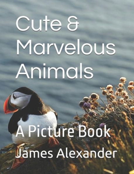 Cute & Marvelous Animals | Alexander, James - 교보문고
