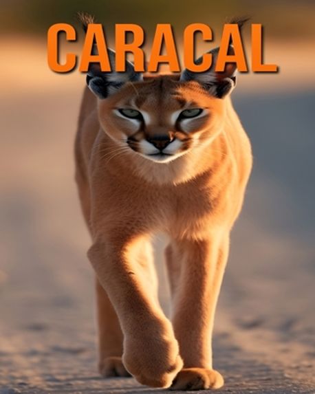 Caracal | Hawthorn, Raine - 교보문고