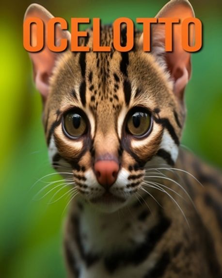 Ocelotto | Vane, Isla - 교보문고