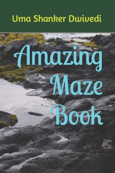 Amazing Maze Book | Dwivedi, Uma Shanker - 교보문고