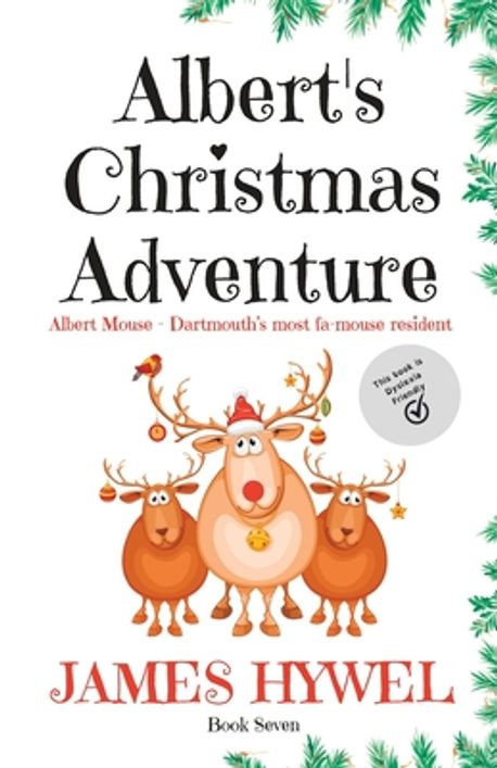 Albert's Christmas Adventure | Hywel, James - 교보문고