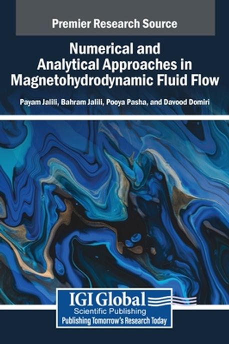 Numerical and Analytical Approaches in Magnetohydrodynamic Fluid Flow | Jalili, Payam - 교보문고