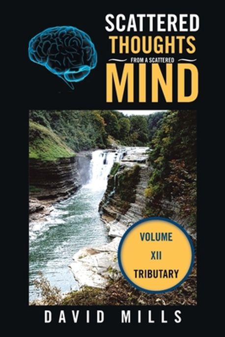 Scattered Thoughts From a Scattered Mind | Mills, David - 교보문고