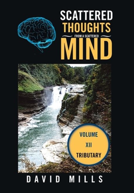 Scattered Thoughts From a Scattered Mind | Mills, David - 교보문고