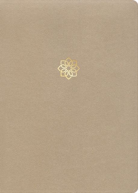 CSB Study Bible, Large Print, Digital Study Edition, Gold Leathertouch ...