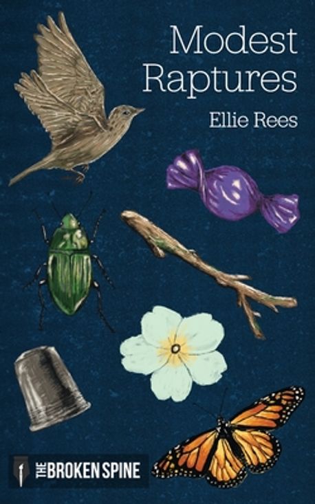 Modest Raptures | Parry, Alan - 교보문고