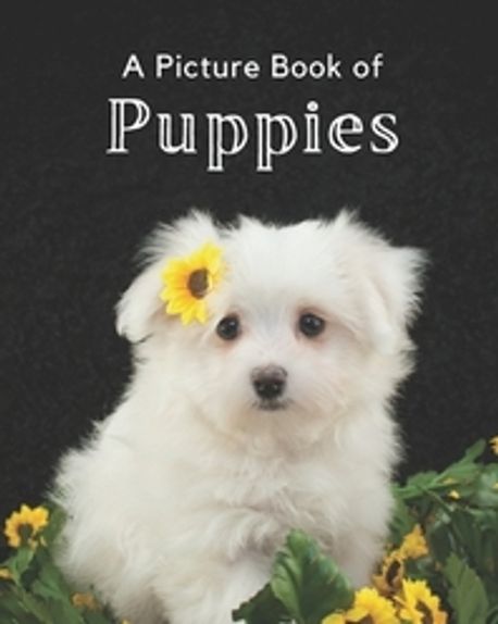 A Picture Book of Puppies | A Bee's Life Press - 교보문고