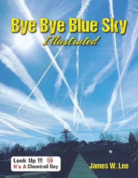 Bye Bye Blue Sky Illustrated | Lee, James W. - 교보문고