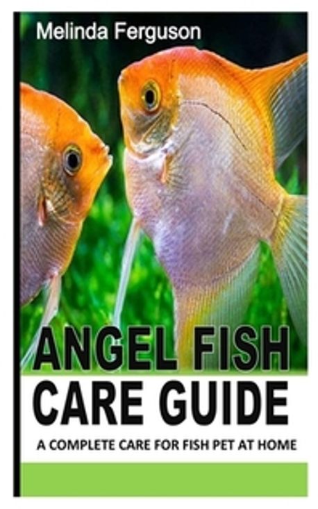 Angel Fish Care Guide | Ferguson, Melinda `. - 교보문고