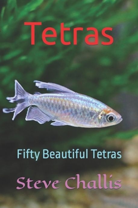 Tetras | Challis, Steve - 교보문고