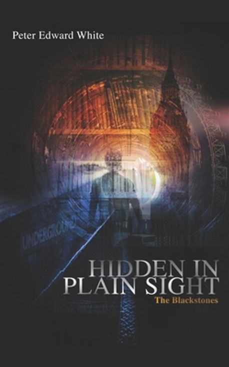 Hidden in Plain Sight | Hutt, Madeleine - 교보문고