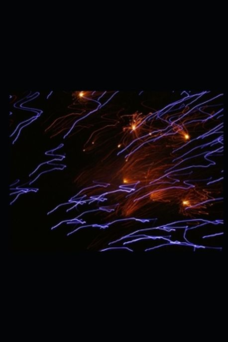 Ruf des Kojoten (James & Kelly) | Kaplan, Simone - 교보문고