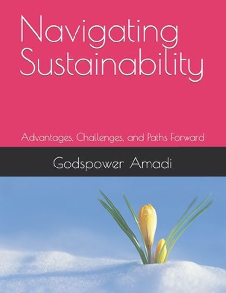 Navigating Sustainability | Amadi, Godspower - 교보문고