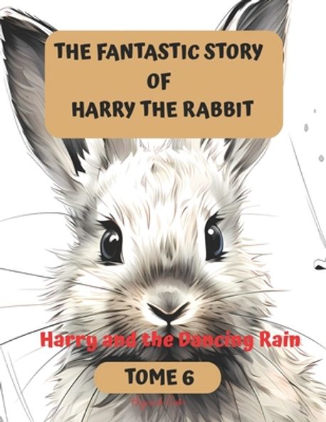 Harry and the Dancing Rain | de Coster, Hugues - 교보문고