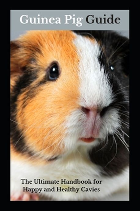 Guinea Pig Guide | Mahmoud, Ehab - 교보문고