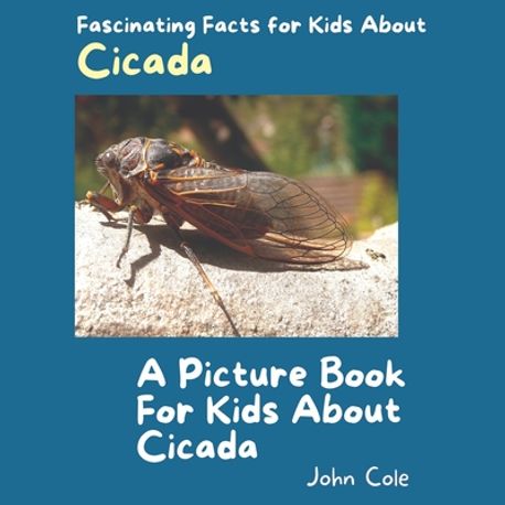 A Picture Book for Kids About Cicada | Cole, John - 교보문고