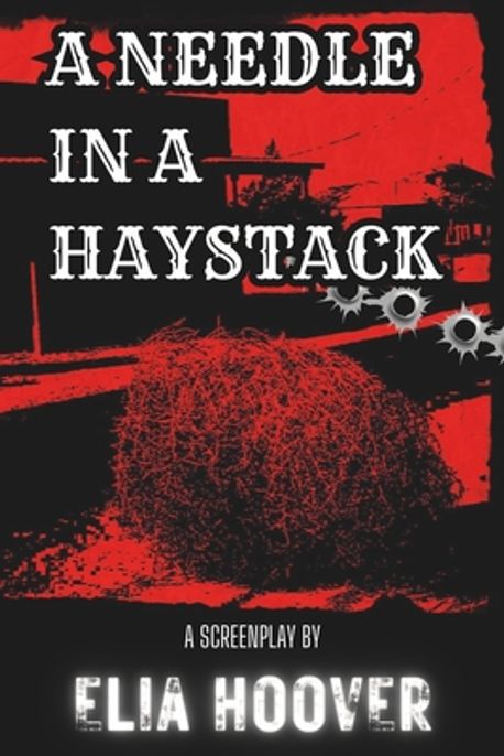 A Needle In A Haystack | Hoover, Elia - 교보문고