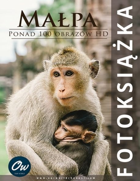 Malpa | Arelt, A. - 교보문고