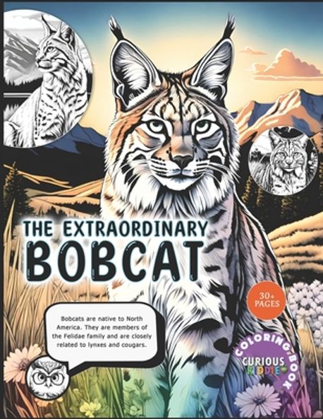 The Extraordinary Bobcat, kids 5-16, Big Cat Coloring Book | Kiddie ...