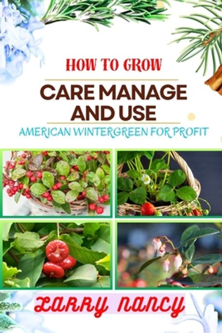How to Grow Care Manage and Use American Wintergreen for Profit | Nancy ...