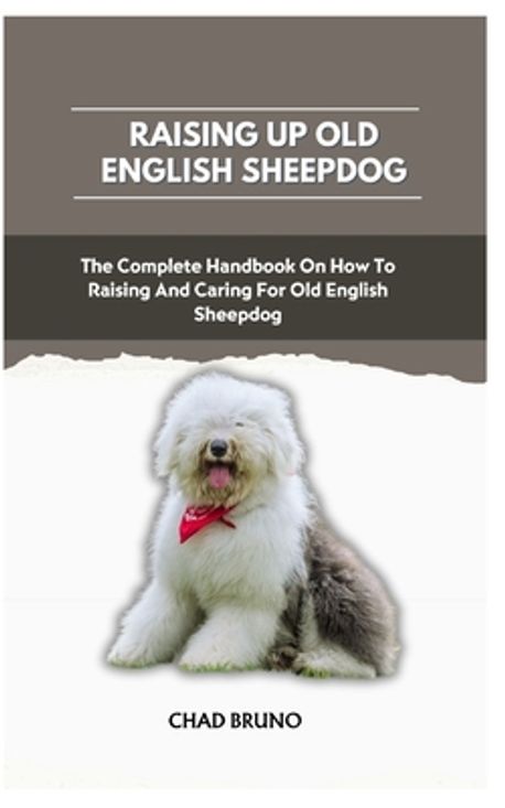 Old English Sheepdog | Bruno, Chad - 교보문고