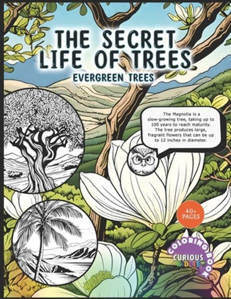 The Secret Life of Trees | Kiddie, Curious - 교보문고