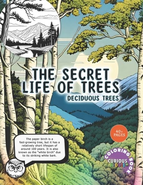 The Secret Life of Trees | Kiddie, Curious - 교보문고