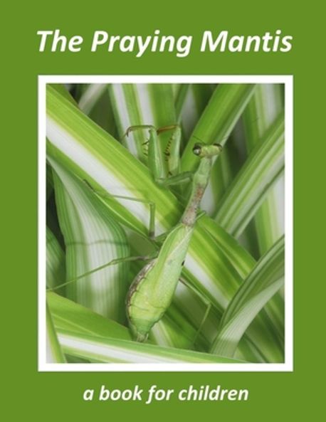 The Praying Mantis - a book for children | Booysen, Linda - 교보문고
