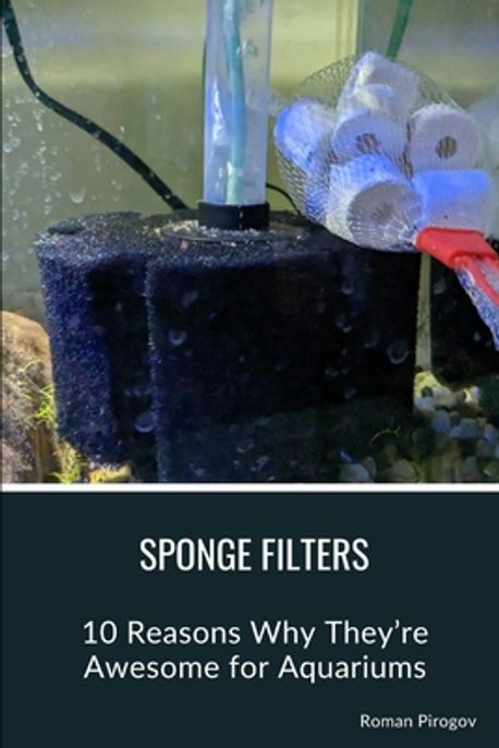 Sponge Filters | Pirogov, Roman - 교보문고
