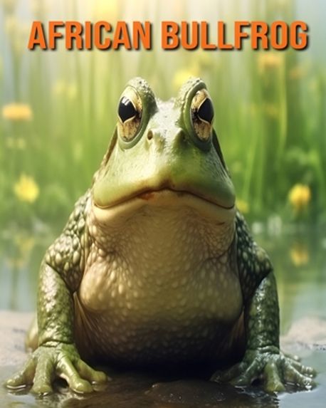 African Bullfrog | Silverstone, Alexi - 교보문고