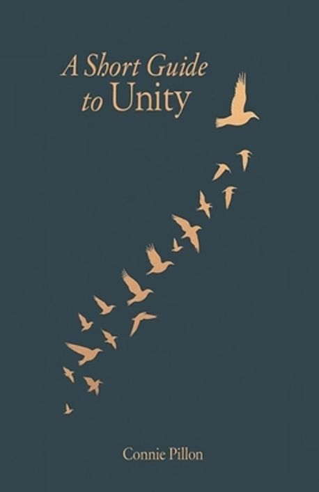 A Short Guide to Unity | Pillon, Connie - 교보문고