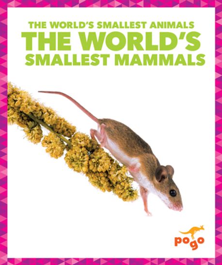 The World's Smallest Mammals | Becker, Becca - 교보문고