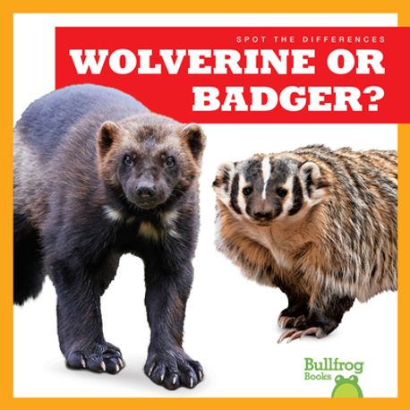 Wolverine or Badger? | Gleisner, Jenna Lee - 교보문고