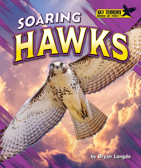 Soaring Hawks | Langdo, Bryan - 교보문고