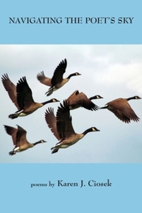 Navigating the Poet's Sky | Ciosek, Karen J. - 교보문고