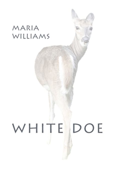 White Doe | Williams, Maria - 교보문고