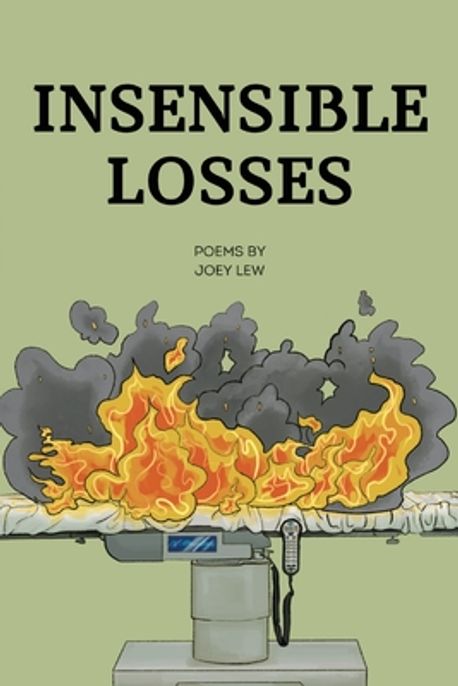 Insensible Losses | Lew, Joey - 교보문고