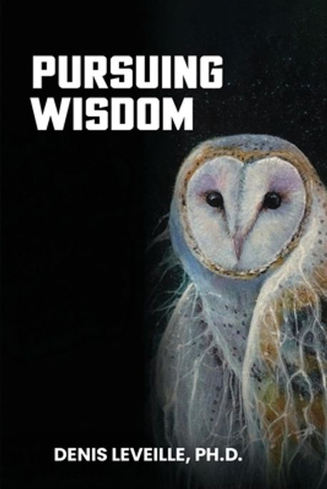 Pursuing Wisdom | Leveille, Denis - 교보문고