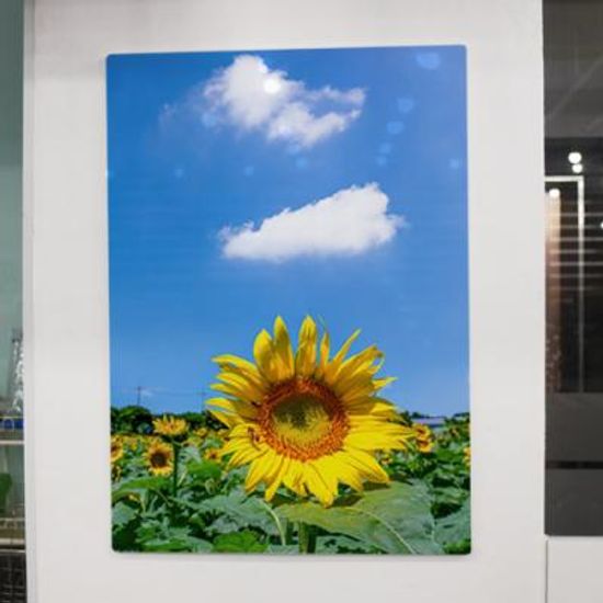 cl954-폼아크릴액자56CmX78Cm_떠다니는구름과해바라기 - 핫트랙스