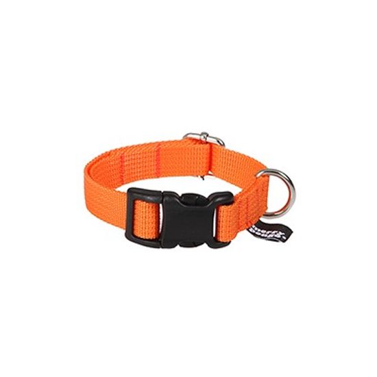 basic orange collar - 핫트랙스