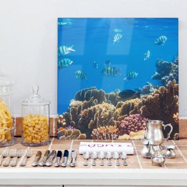 ggoomim tk129-아크릴액자_아쿠아리움 - 핫트랙스