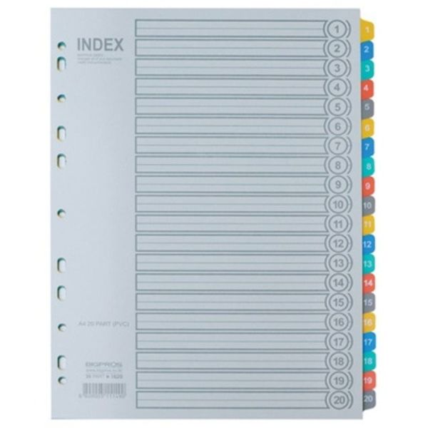 hplusmall 대흥 바인더 인덱스 PP i620 20분류 1세트_MO - 핫트랙스
