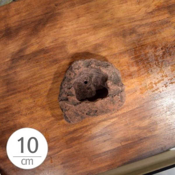 hplusmall 석부작 화산석 화분 (1호.소) 약 10cm - 핫트랙스