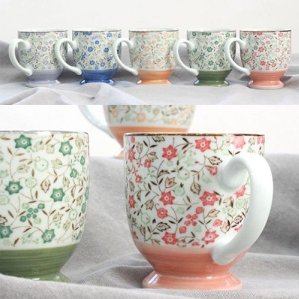 iswas [HEIM] 하나노 미스트 머그컵 5P set - 핫트랙스