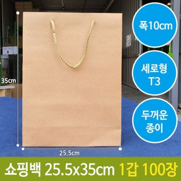 hplusmall 크라프트 쇼핑백 튼튼한 민무늬 종이 선물 T3 100장 - 핫트랙스
