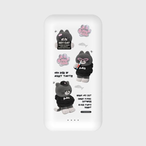theninemall pattern bad hey cat [대용량 보조배터리] - 핫트랙스
